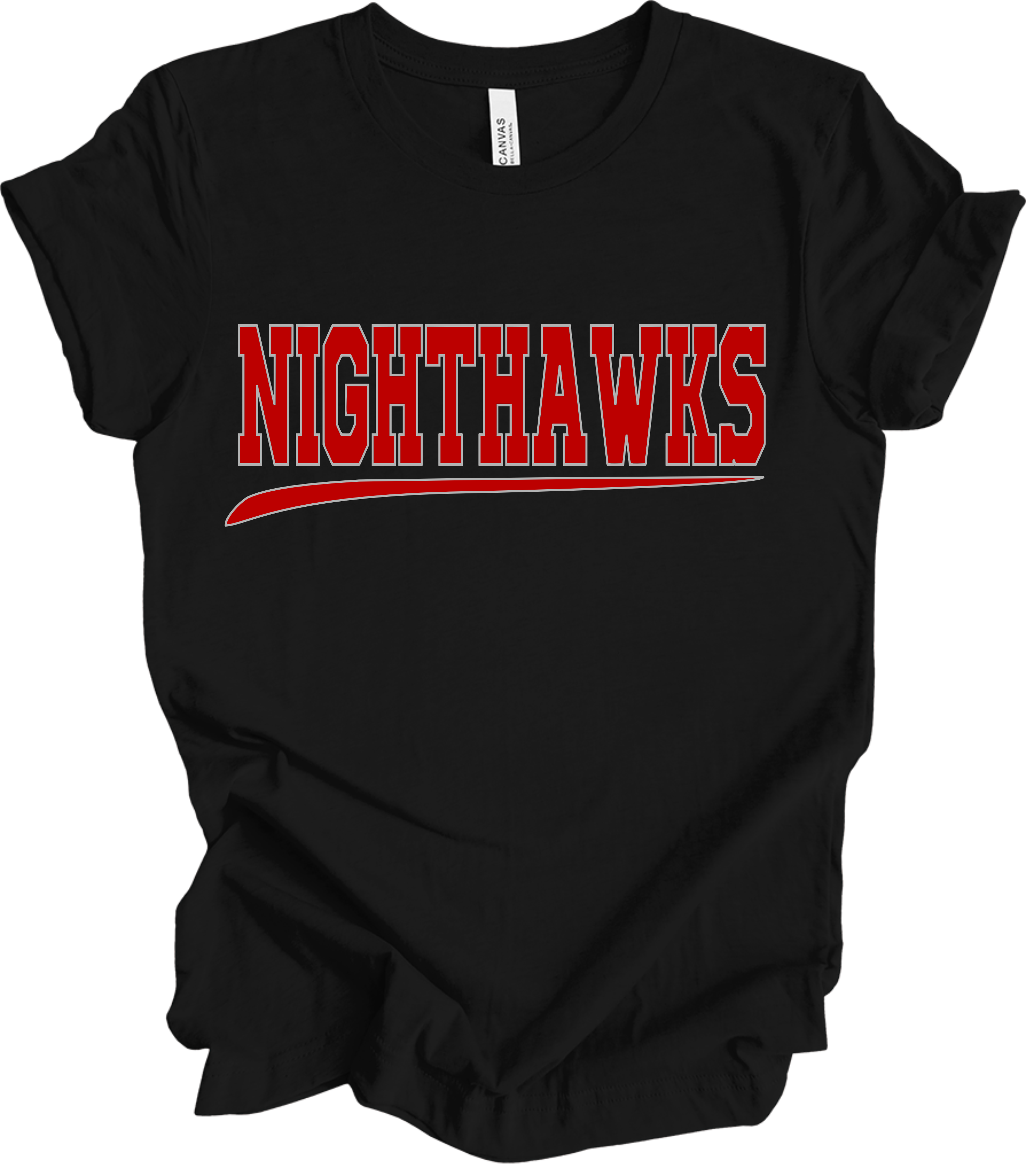 2025 PVAA NIGHTHAWKS Team LOGO – THE PRINT LOFT
